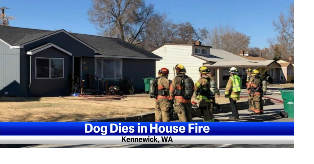 Family displaced, dog dead after Kennewick house fire | News ...