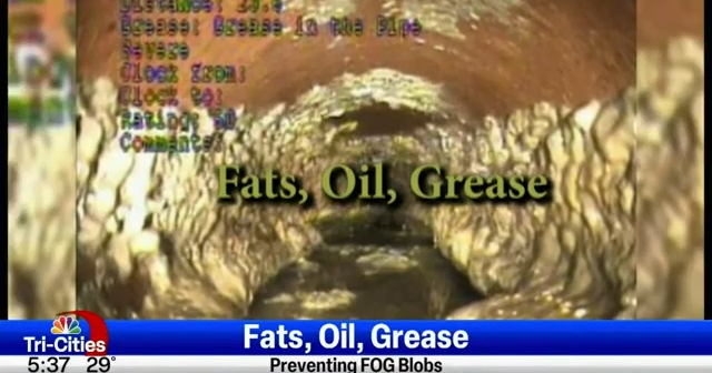 Why you shouldn't be pouring fats, oil and grease down the drain | News ...