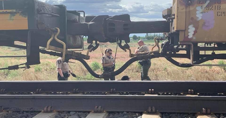 2 Arrested for hitching a ride on freight train in Franklin County ...