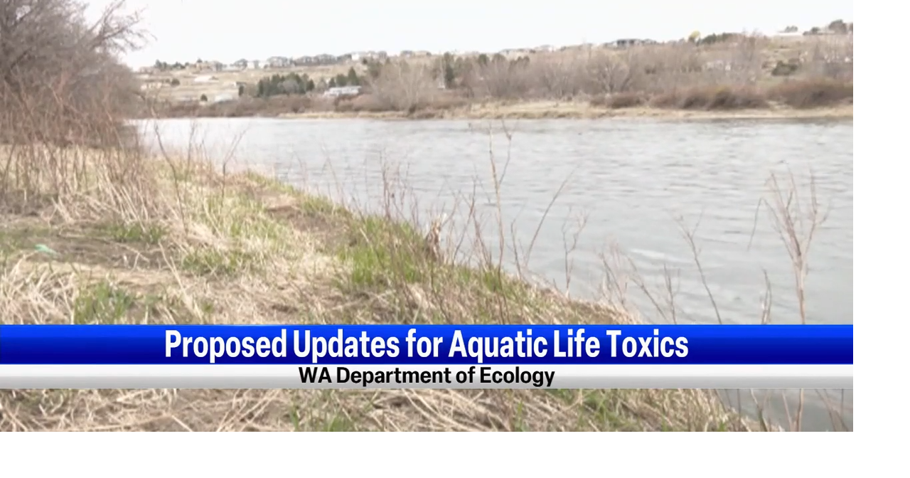 Ecology proposes upgraded limits for toxics in Washington's waterways ...