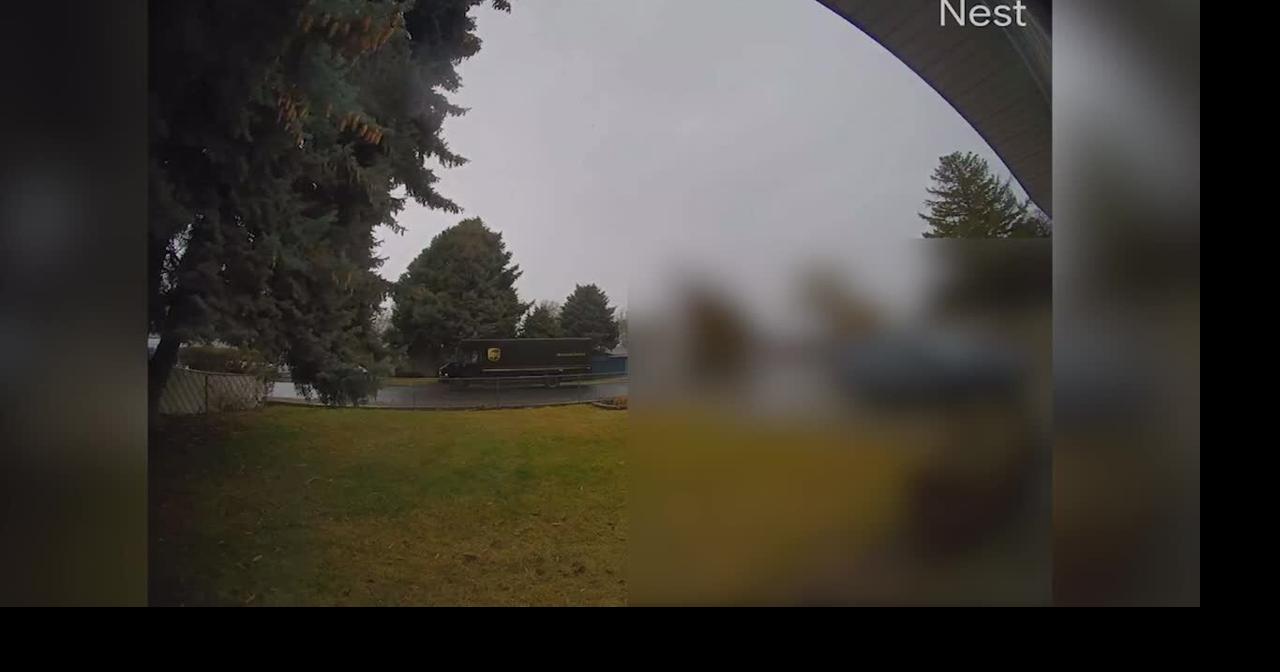 Ring cam video shows huge tree nearly falling on UPS driver in ...