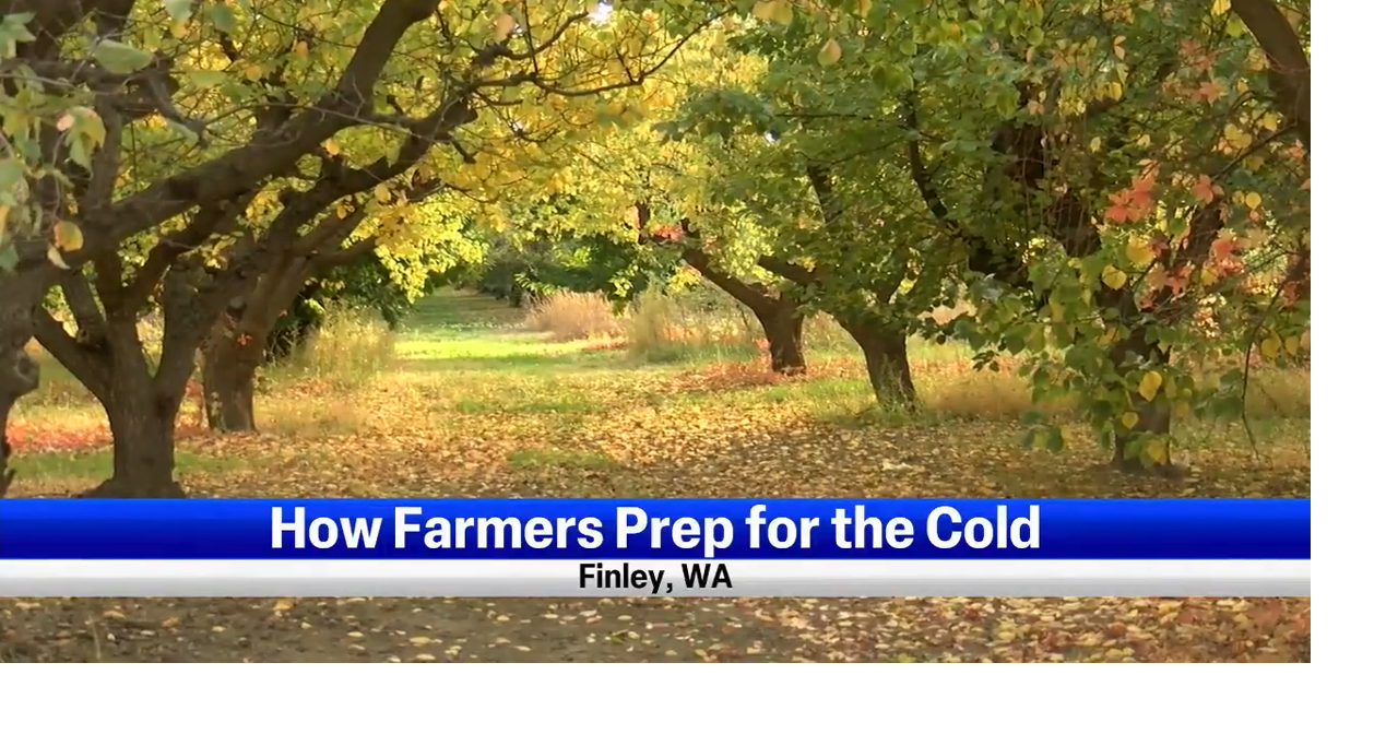 Farmers prepare for freezing temperatures as winter approaches | News ...