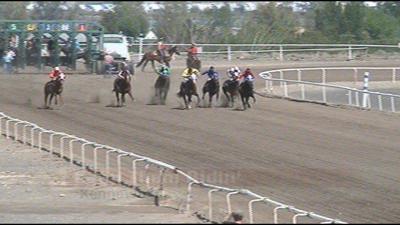 sun horse racing today