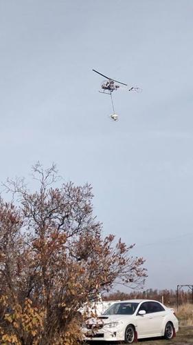 Milton-Freewater residents find their chickens and turkeys dead after ...