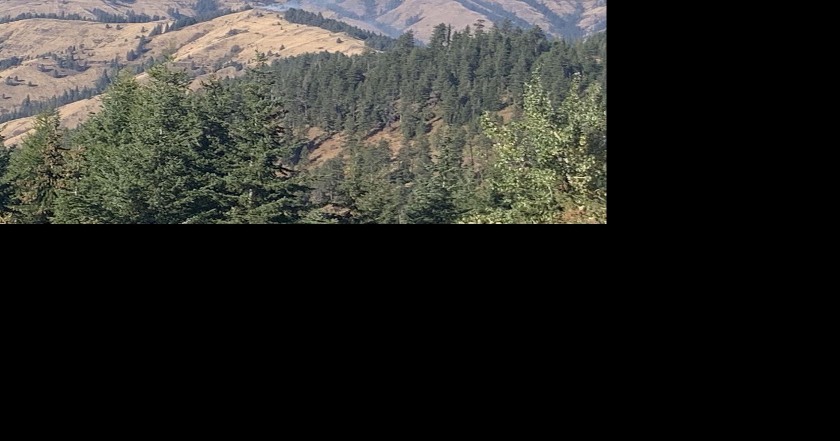 Forest fuel reduction workshops set for eastern Washington | News ...