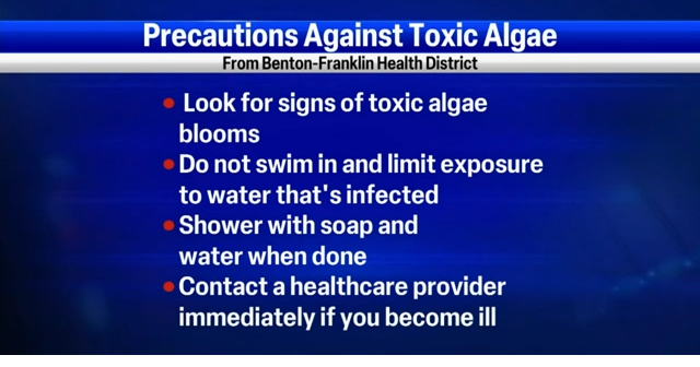 Toxic algae detected at Howard Amon Swim Beach | News | nbcrightnow.com