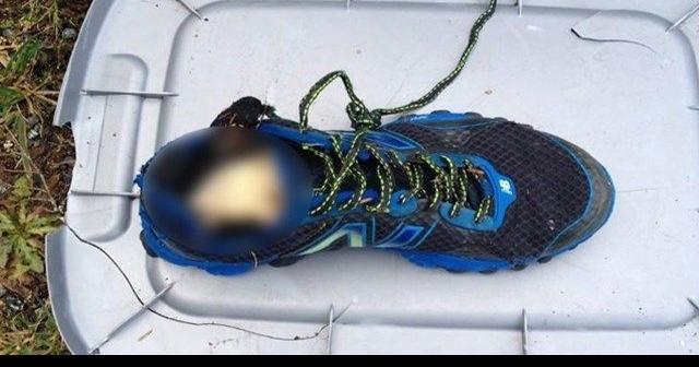 Human feet washing ashore in Pacific Northwest | Archives | nbcrightnow.com