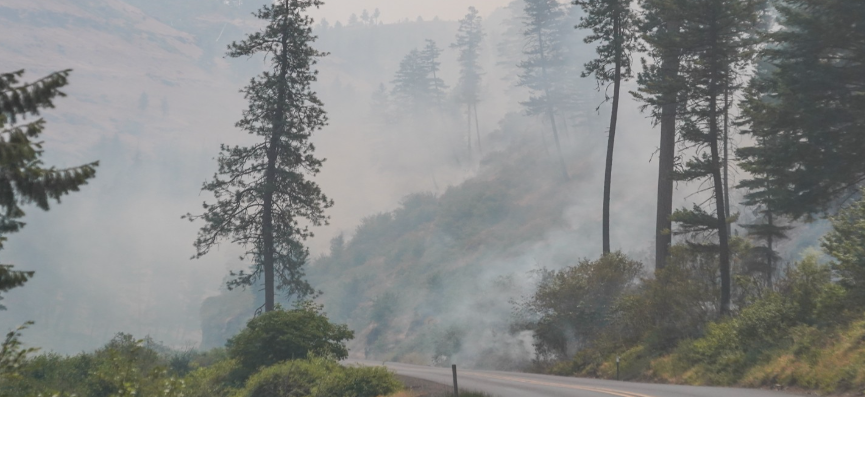 Heppner Ranger District in Umatilla National Forest temporarily closed ...