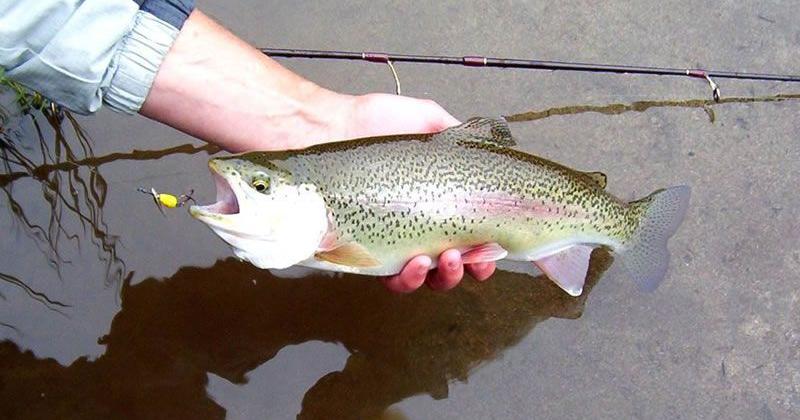 Washington's lowland lakes open for fishing April 27 | News ...