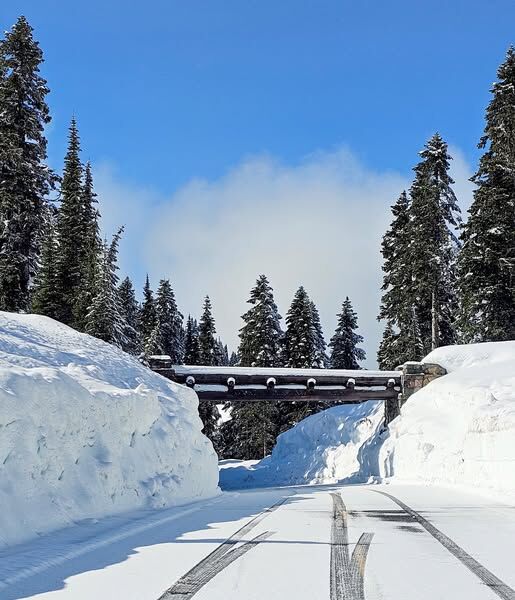 Chinook and Cayuse Passes open for Memorial Day travel | News ...