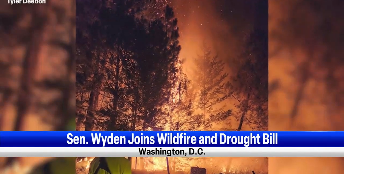 Senator Wyden's $60B bill targets wildfire risk in Oregon and West ...