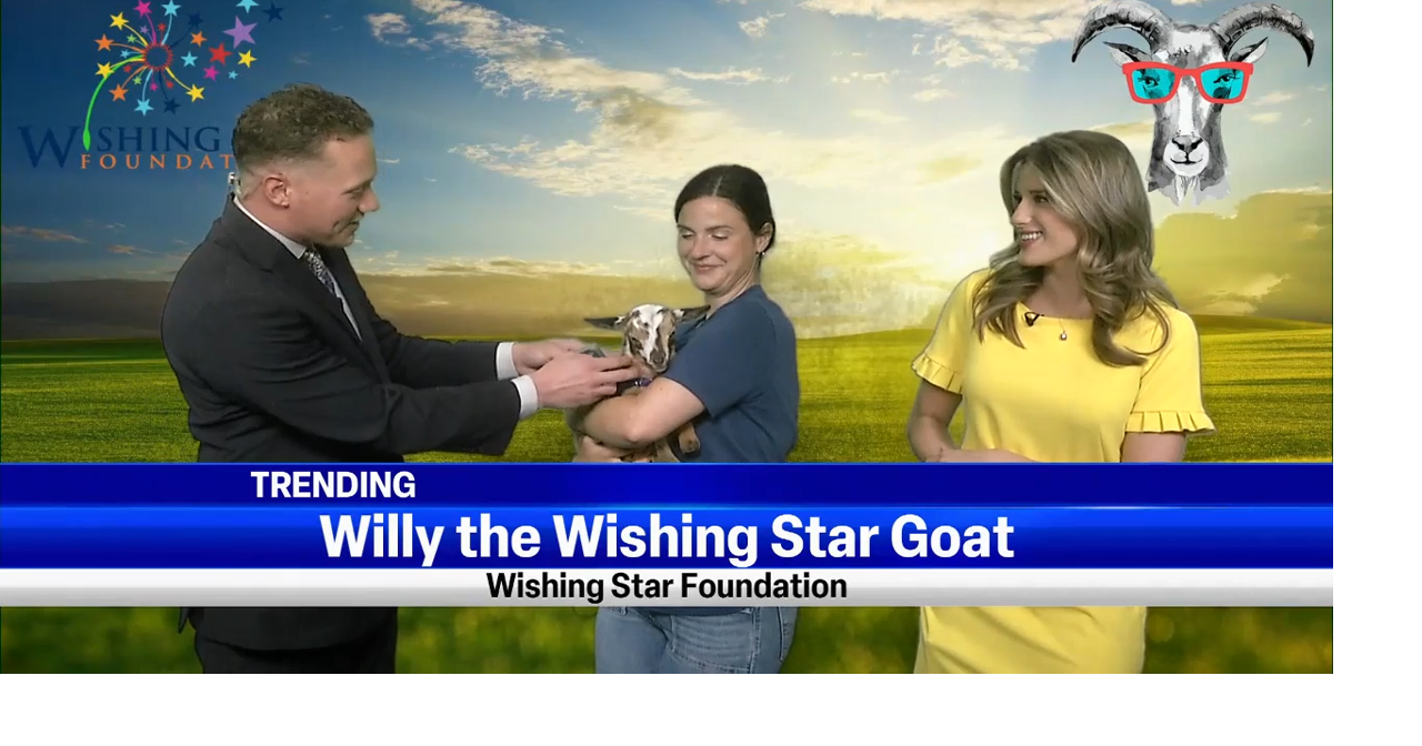 Wake Up NonStop Local meets Willy the Wishing Goat! | News ...