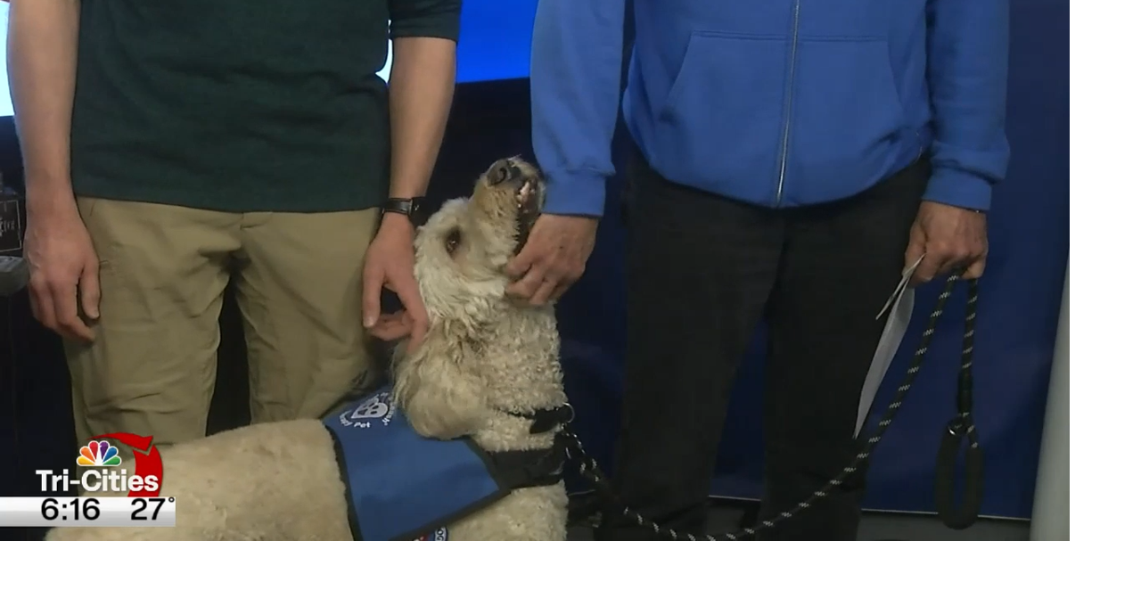 Building Blocks of the Future: Love on a Leash | Building-blocks-of-the ...