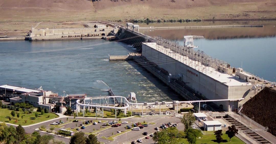 Corps of Engineers awards $321M for installation of 14 McNary Dam ...