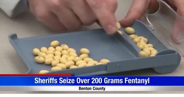 Bcso Deputies Recover 200 Grams Of Fentanyl Top Video