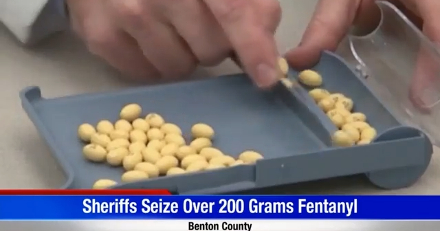 Bcso Deputies Recover 200 Grams Of Fentanyl Top Video