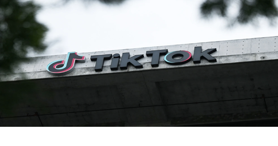 Tiktok Files Lawsuit Against Montana Over Download Ban News