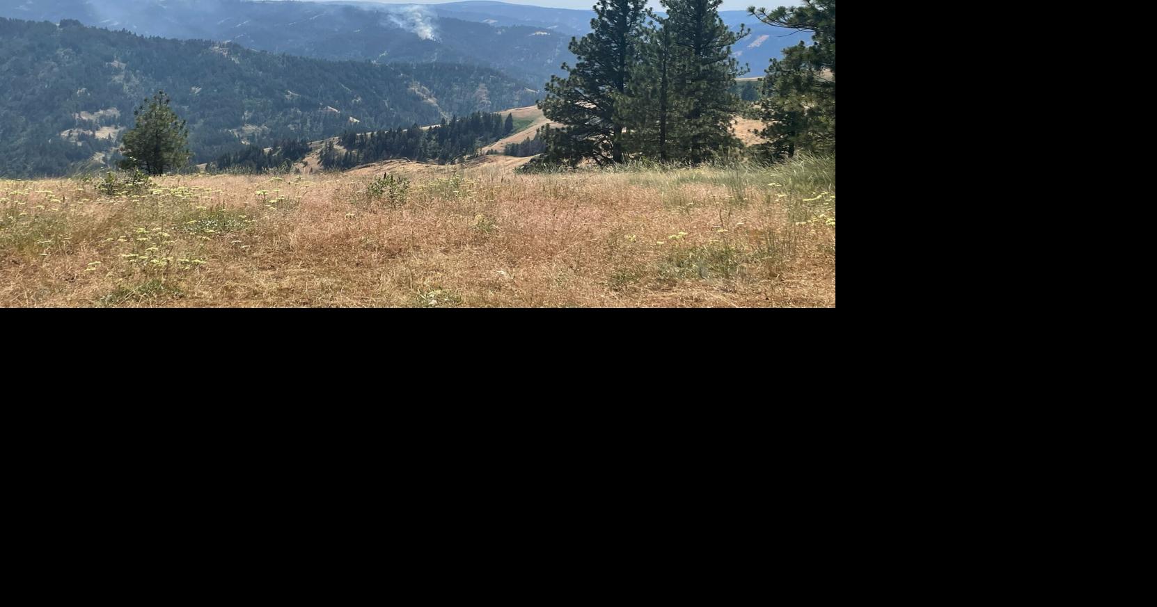 Buck Creek Fire in North Fork Umatilla Wilderness contained | News ...