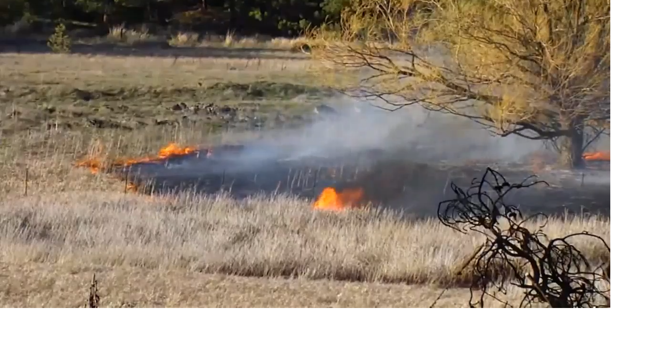 Wildfire Ready Neighbors finds gaps in home fire prevention | Fire ...