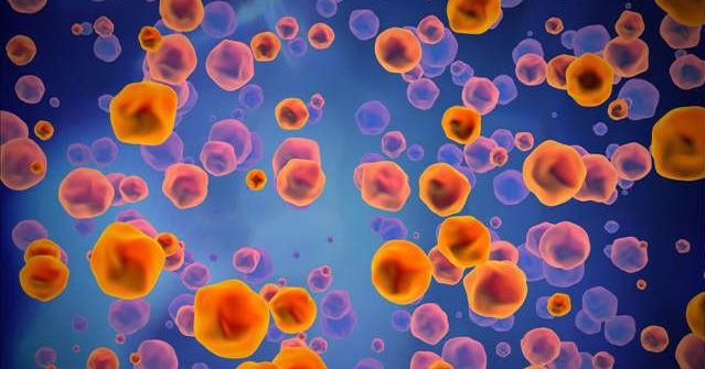 Washington State Department of Health reports measles outbreak in ...