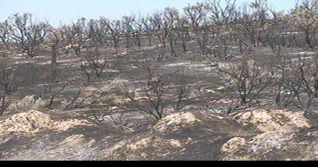 Badger Canyon fire sparked by bullet | News | nbcrightnow.com