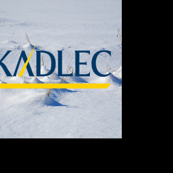Kadlec Foundation receives $50,000 grant for care for children | News | nbcrightnow.com