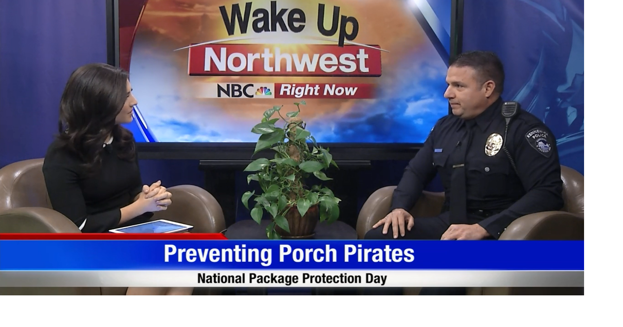 Package Protection Day: Steps to safeguard your deliveries | Where We ...