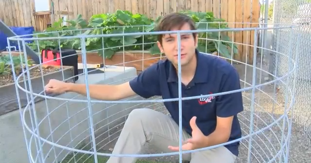 Wake Up Your Garden: hanging pumpkin structure | Top Video ...