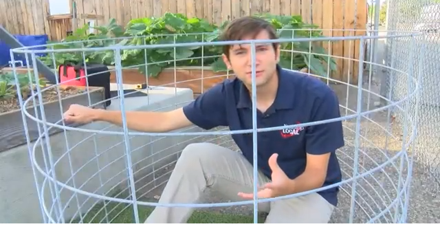 Wake Up Your Garden: hanging pumpkin structure | Top Video ...