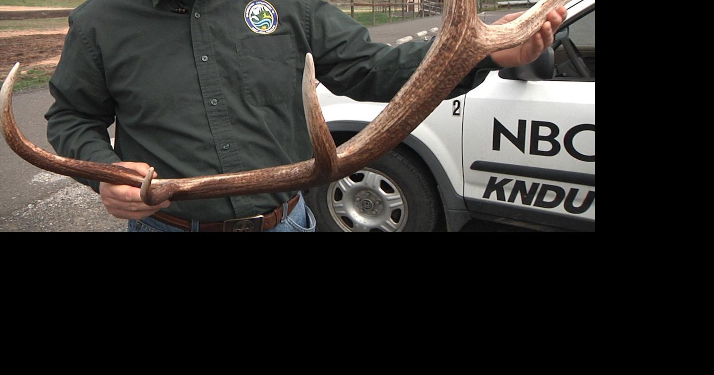 Annual antler collecting at Oak Creek Wildlife Area | Archives ...