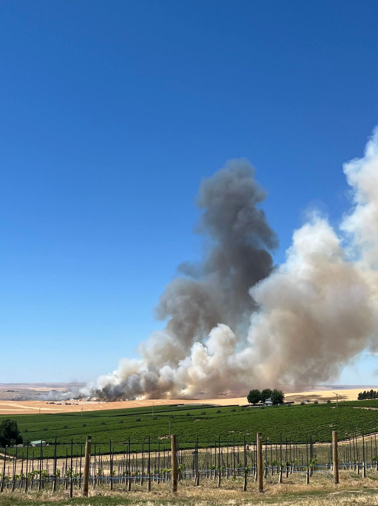 Firefighters tackle multiple field fires in Walla Walla County | News ...