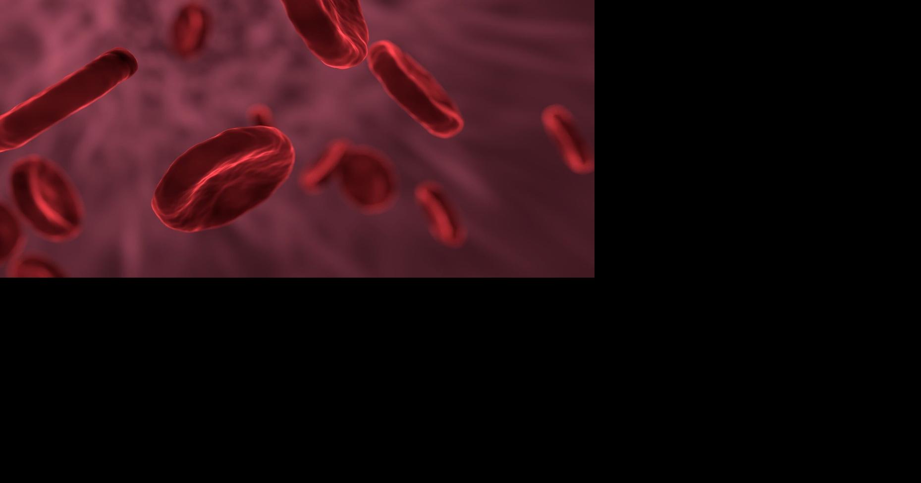 Bacterial Vampirism: WSU Researchers find deadly bacteria feeds on ...