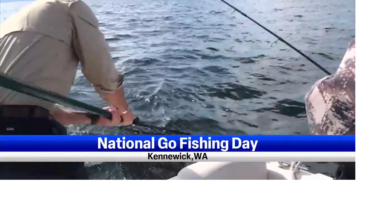 National Go fishing day, what you need to know before reeling in your ...