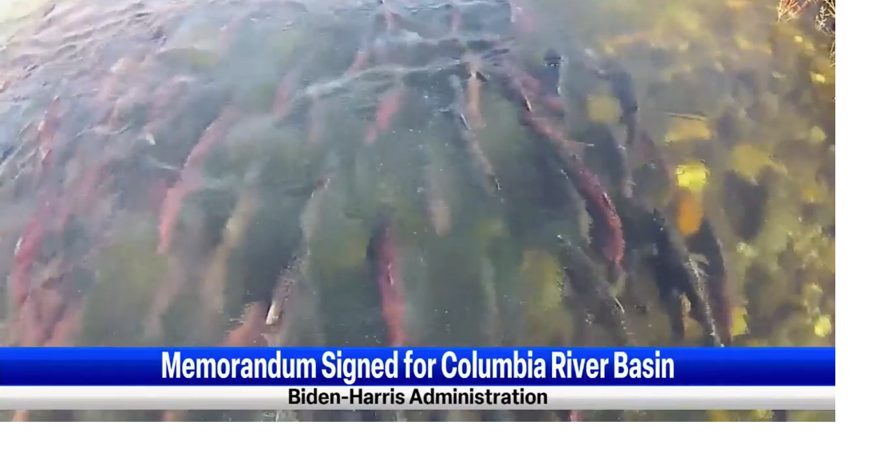 Murray, Newhouse and Colville Tribe respond to new Biden administration ...