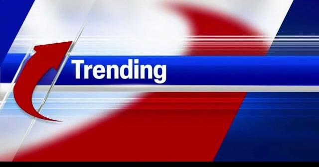 What's Trending?: Bird Breaks Record | Top Video | nbcrightnow.com
