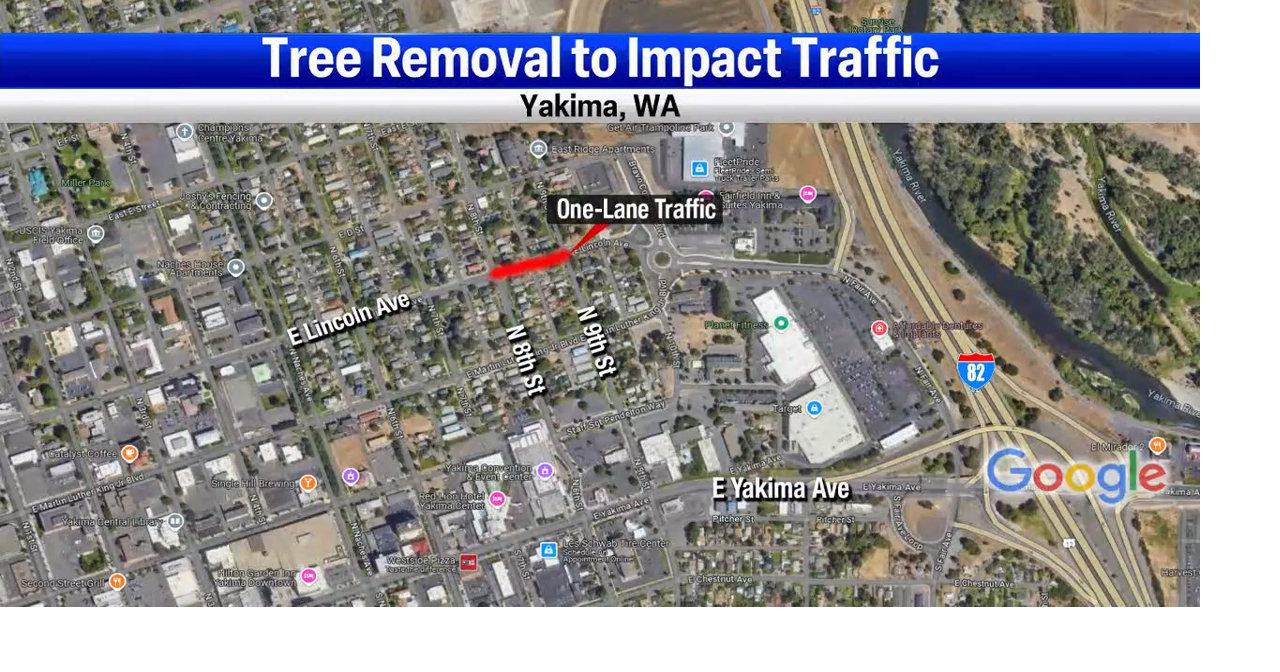 Tree removal project to slow traffic on Lincoln Avenue in Yakima | News ...