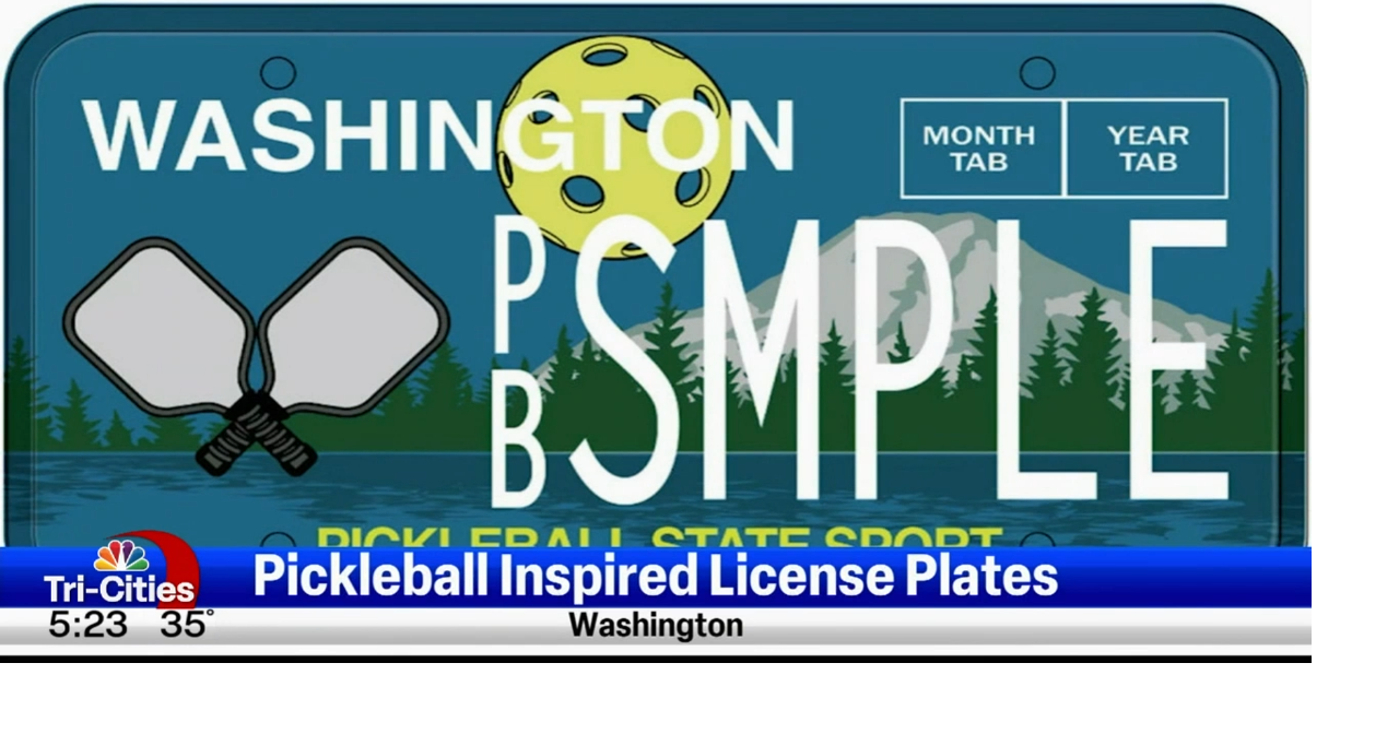 Pickleball fever fuels proposal for new license plate design featuring ...