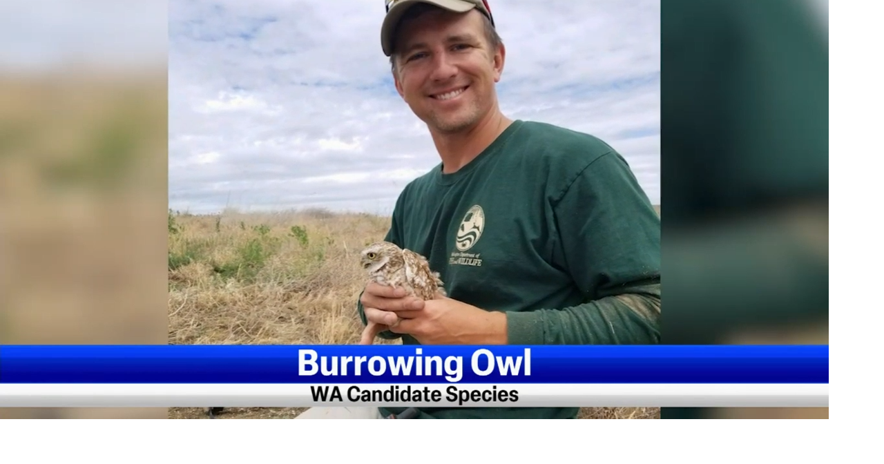 Wildlife Biologist shares endangered species in Central Washington ...