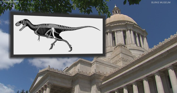 Suciasaurus rex becomes official Washington state dinosaur after Gov ...