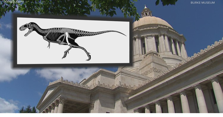 Suciasaurus rex becomes official Washington state dinosaur after Gov ...