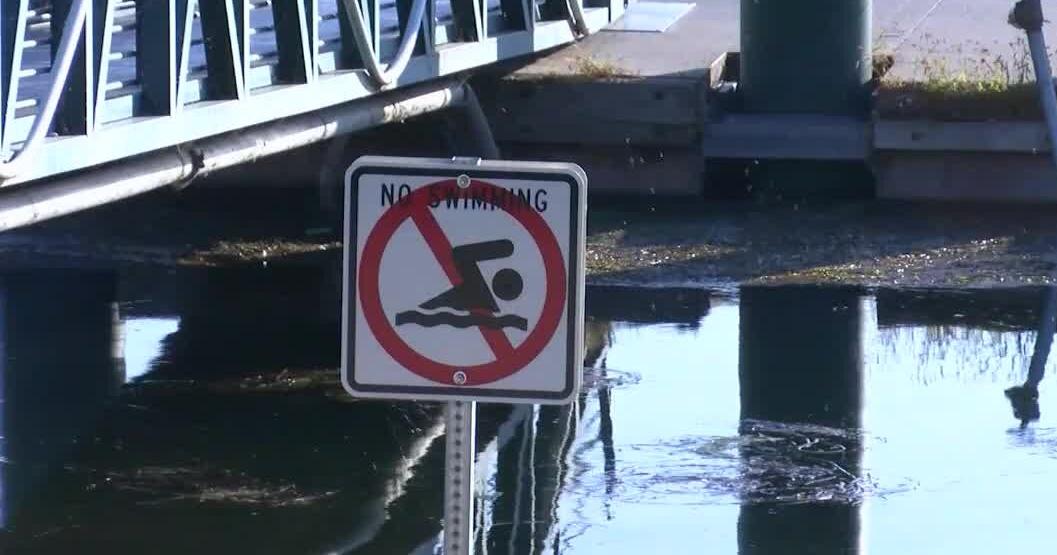 Toxic algae concerns rise as Tri-Cities Ironman approaches | News ...