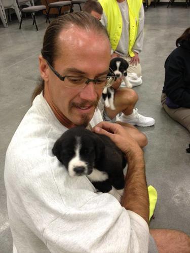 Coyote Ridge Corrections Center Adds Puppies to Ridge Dogs Program ...