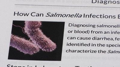 does salmonella affect everyone