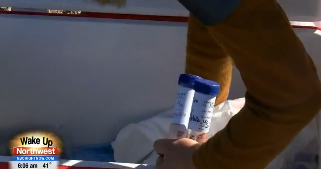 WDFW testing for Chronic Wasting Disease | News | nbcrightnow.com