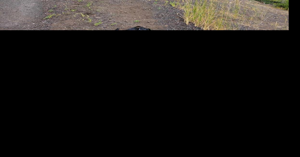 Deadly car crash near Naches under investigation | | nbcrightnow.com