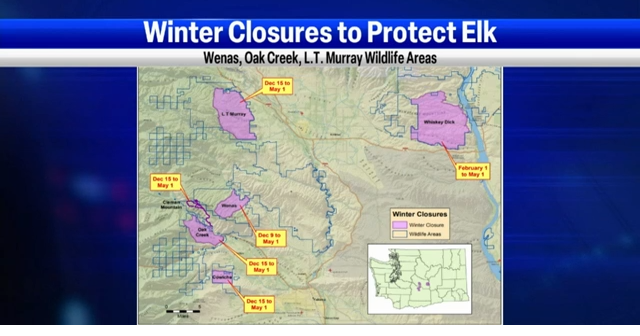 Winter closures in place to protect elk in Wenas wildlife area | News ...