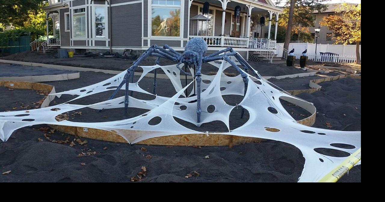 Award-winning 9-foot spider decoration 'Fluffy' stolen early Friday ...