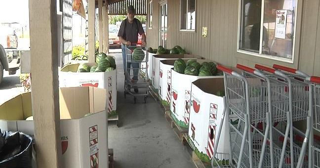 Unusually Hot Weather Helps Famous Hermiston Watermelon Harvest Start ...