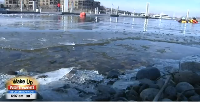 Polar Plunge at the Columbia Point Marina to raise money for Special ...