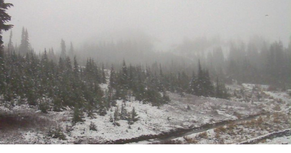 Chinook Pass open after early season snowfall | News | nbcrightnow.com